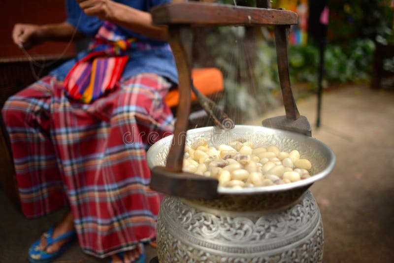 Cocoons are Placed in Boiling Water 2 Stock Image - Image of garden ...