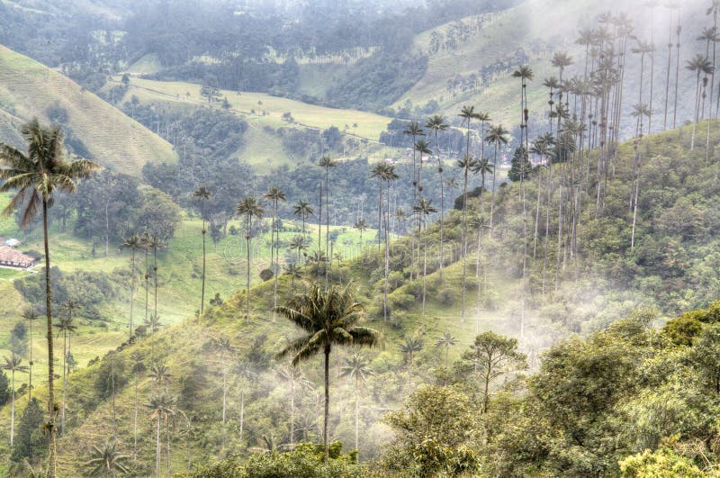 Cocora valley stock image. Image of beautiful, cloud - 38028993