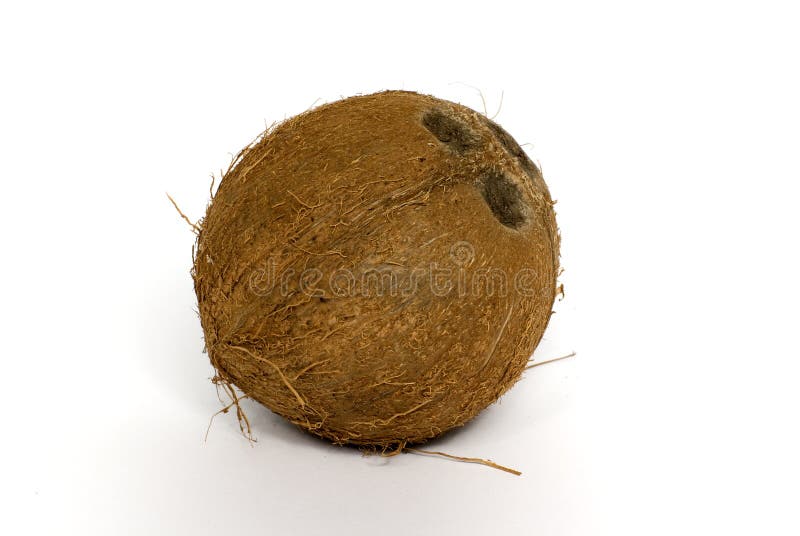 Cocos stockfoto. Bild von braun, mutter, hülse, getrennt - 13386336