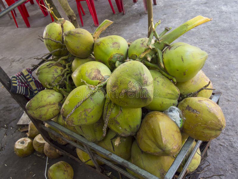 Venta De Los Cocos En El Lado De La Calle Imagen de archivo - Imagen de ...