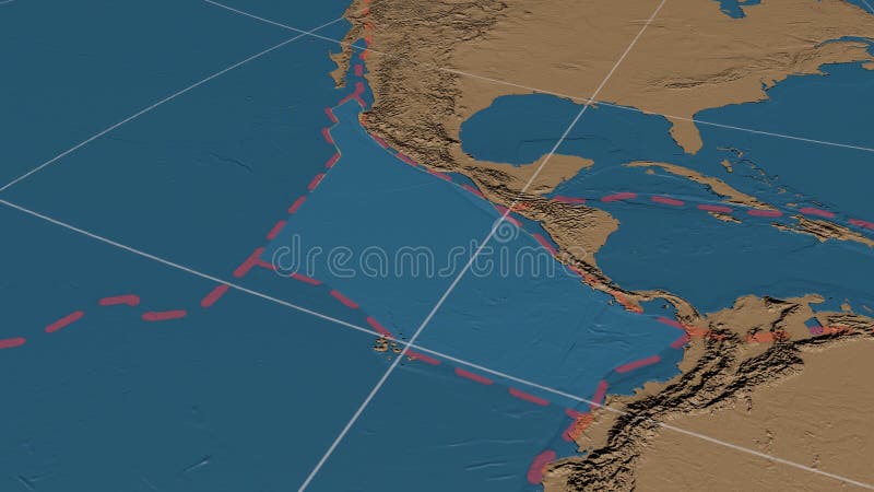 Cocos Plate Enlarged and Outlined - Grayscale Stock Illustration ...
