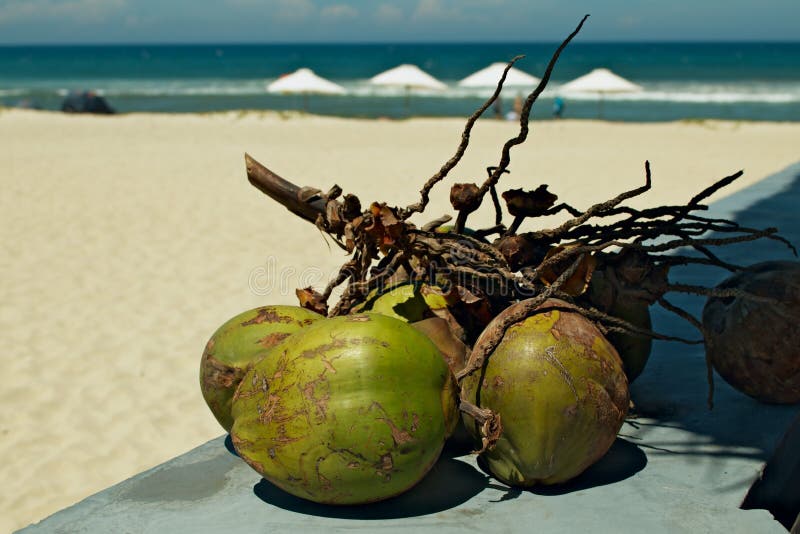 Cocos verdes na praia foto de stock. Imagem de plantas - 116455480