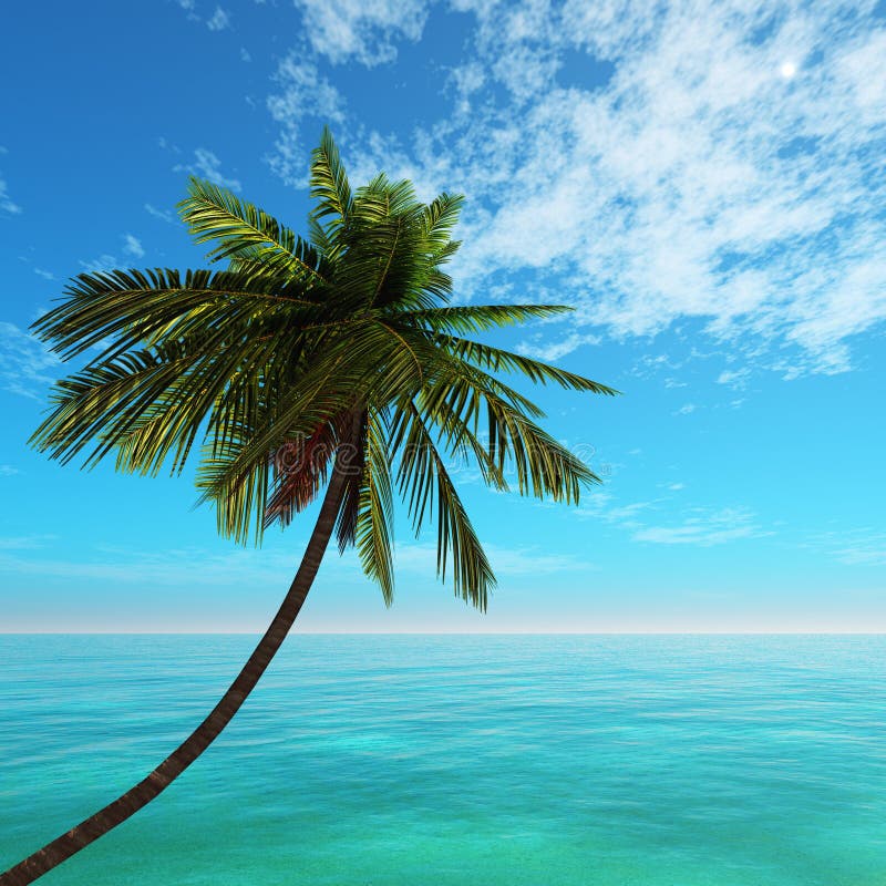 Cocotier Et Mer De Plage De Paysage Marin Photo stock - Image du calme ...