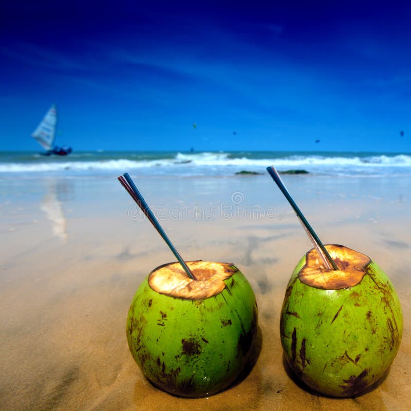 Coctel Del Coco En La Playa Del Caribe De La Turquesa Imagen de archivo ...