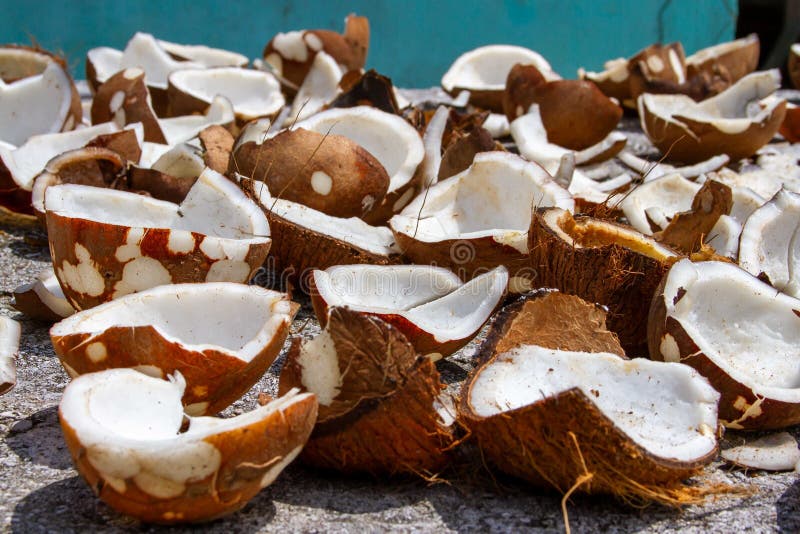 Drying coconut husks stock photo. Image of brown, close - 342966074