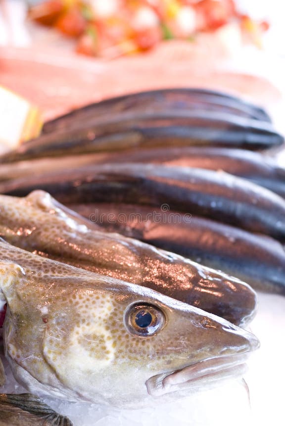 468 Dead Cod Fish Stock Photos - Free & Royalty-Free Stock Photos from ...