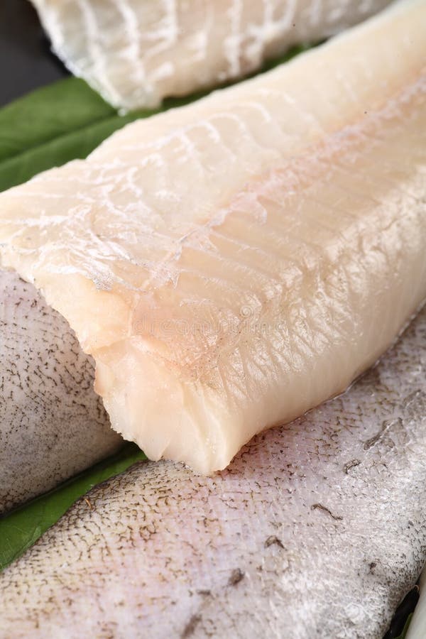 Cod stock photo. Image of mushroom, garnish, fried, green - 7484800