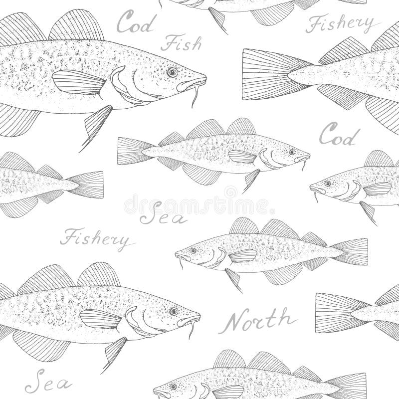 Cod. Black Hand Drawn Realistic Outline Vector Background. Stock Vector ...