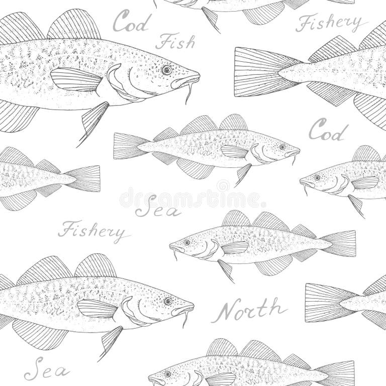 Cod. Black Hand Drawn Realistic Outline Vector Background. Stock Vector ...