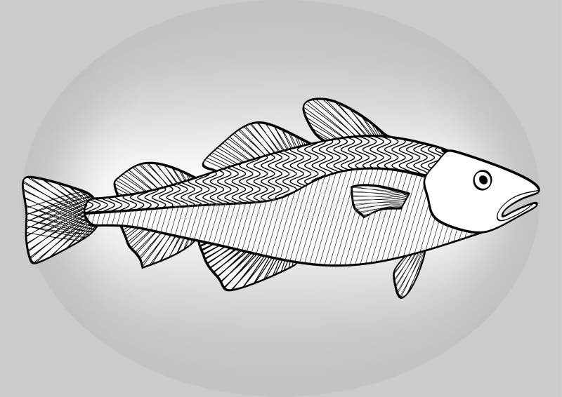 Atlantic Cod Drawing Stock Illustrations – 148 Atlantic Cod Drawing ...