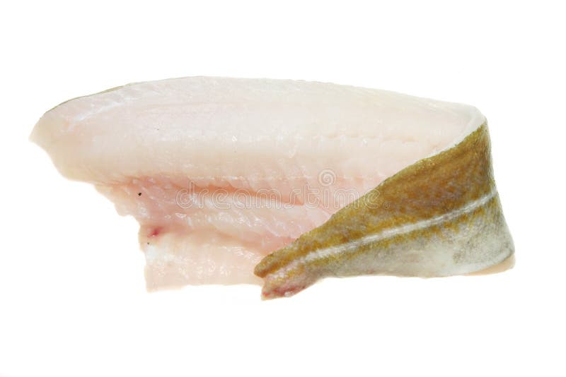 Fish fillet stock photo. Image of eating, fishing, food - 3582422