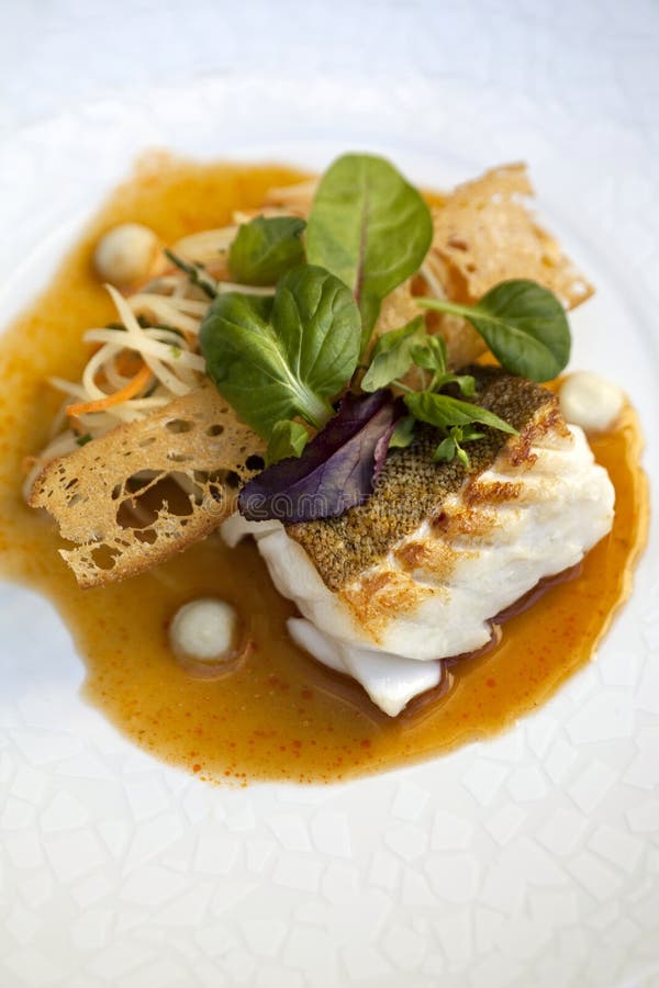 Cod fillet stock photo. Image of sauce, dish, vegetable - 40082982