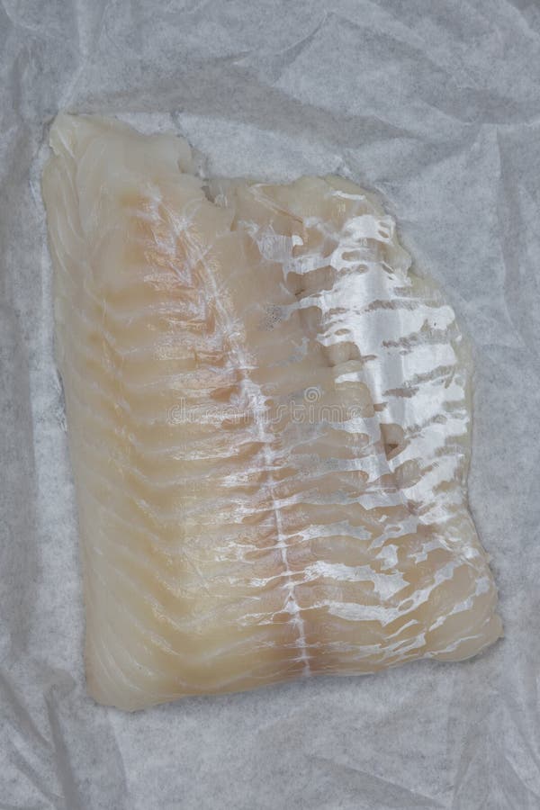 Cod fillet on white paper stock image. Image of paper - 226502281