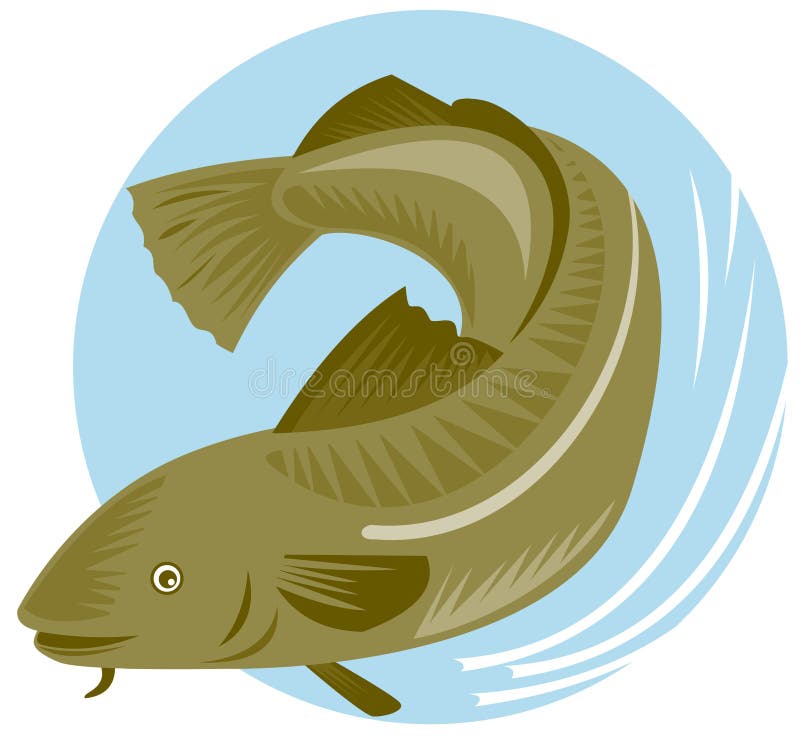 Cod fish stock vector. Illustration of fishing, liver - 36311734