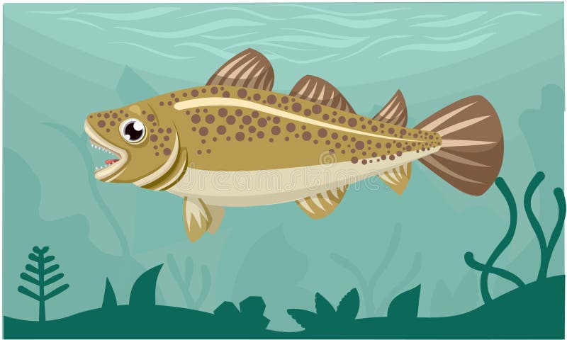 Cod Illustration Stock Illustrations – 2,147 Cod Illustration Stock ...