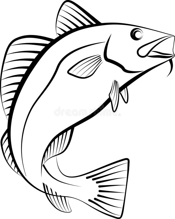 Cod Drawing Stock Illustrations – 14,546 Cod Drawing Stock ...
