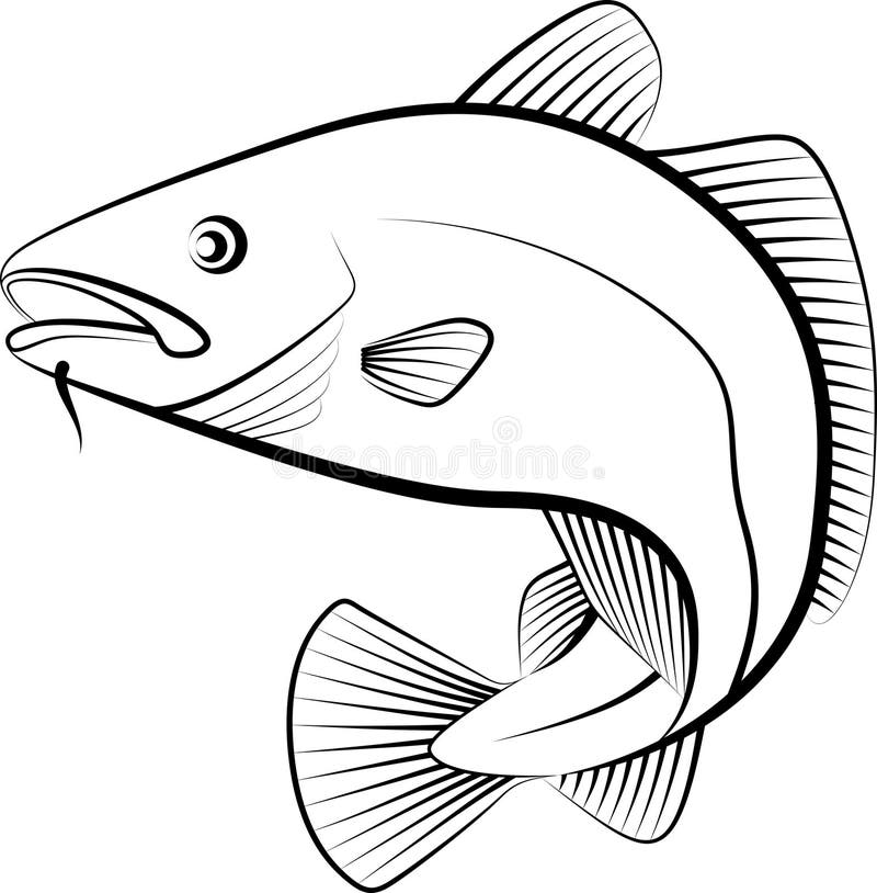 Cod fish stock vector. Illustration of angling, element - 216553262