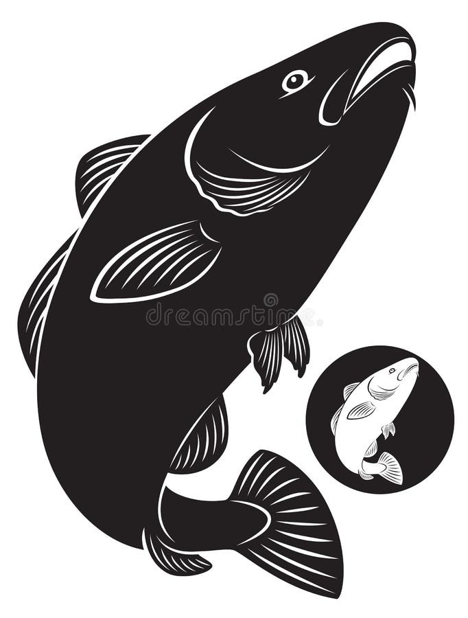 Cod fish stock vector. Illustration of fishing, liver - 36311734