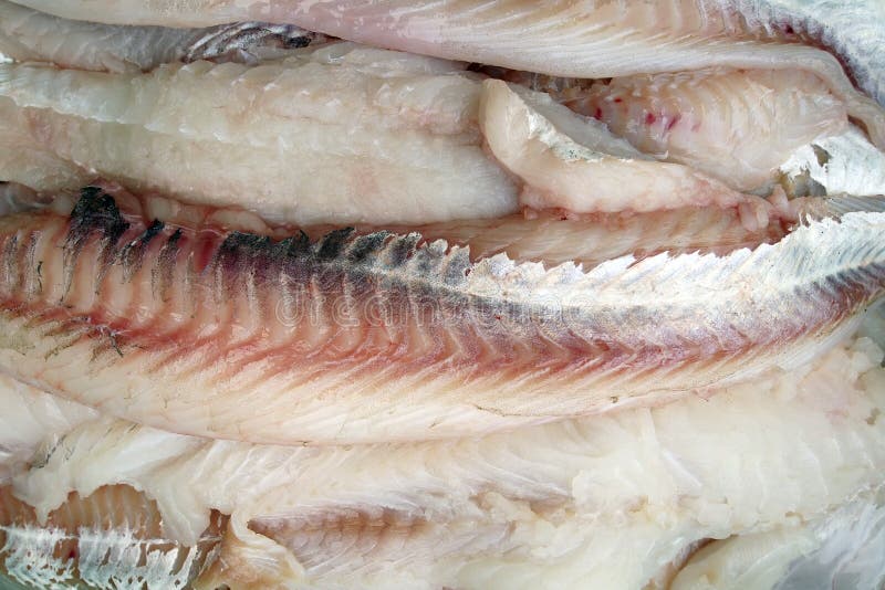 Cod fish filet stock photo. Image of healthy, fish, uncooked - 40243192