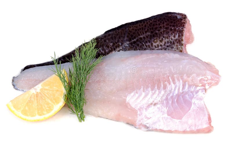 Cod Fish stock photo. Image of animal, salt, ocean, fishing - 10827474