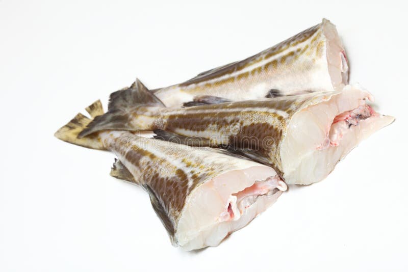 Cod fillet stock photo. Image of fresh, skin, seafood - 5615294