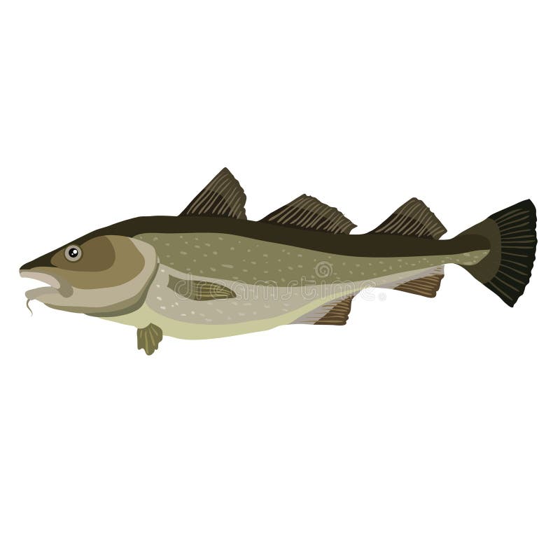 Cod Fish Cartoon Stock Illustrations – 545 Cod Fish Cartoon Stock ...