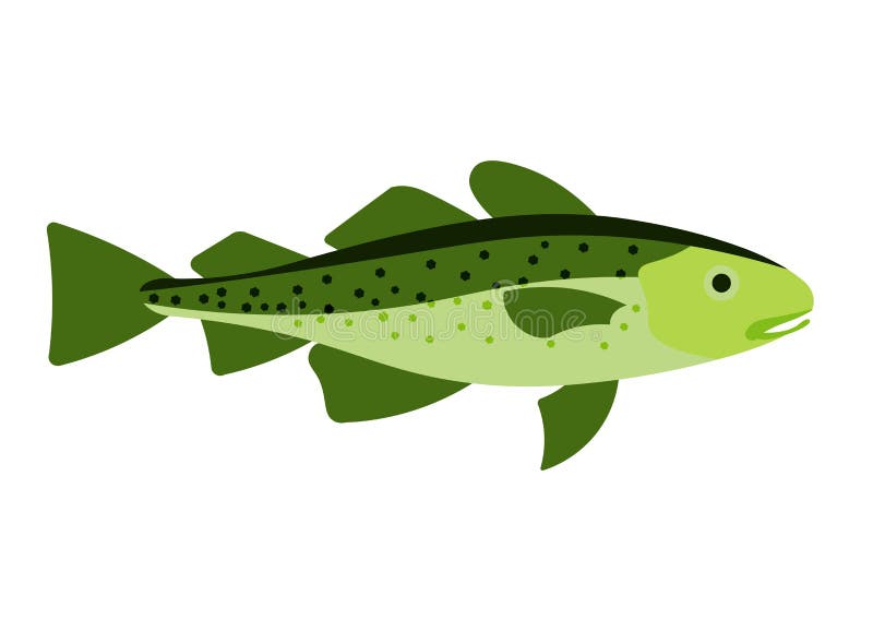 Cod Illustration Stock Illustrations – 2,147 Cod Illustration Stock ...