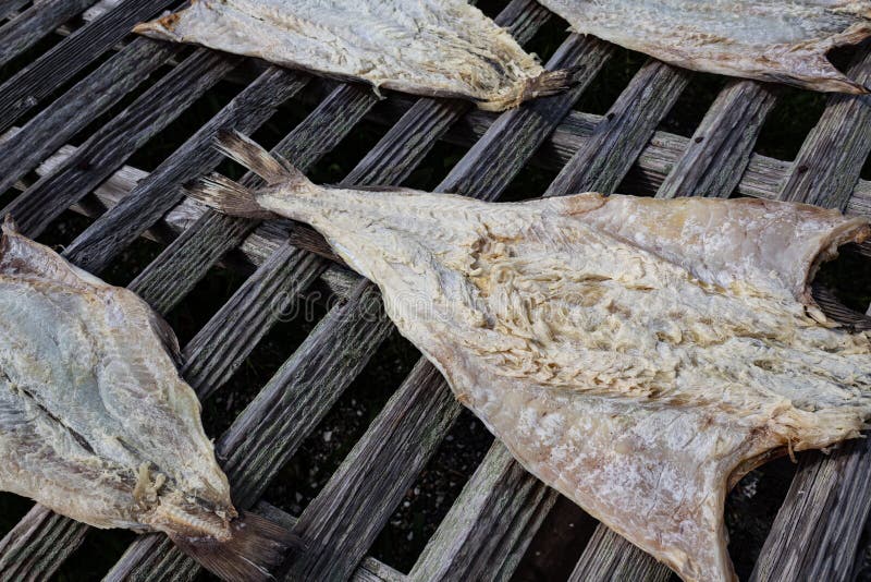 Rack Slat Stock Photos - Free & Royalty-Free Stock Photos from Dreamstime