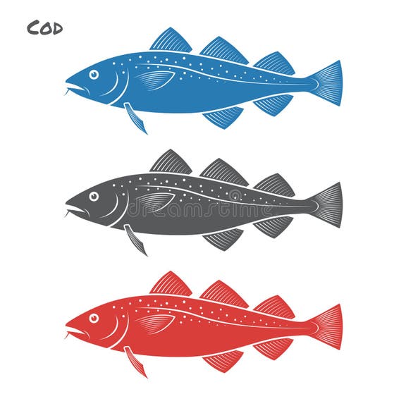 Cod Fish Vector Illustration Stock Vector - Illustration of salmon ...