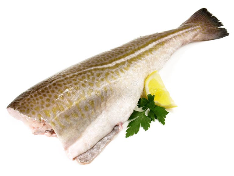 Cod Fish without Head stock photo. Image of isolation - 152377762