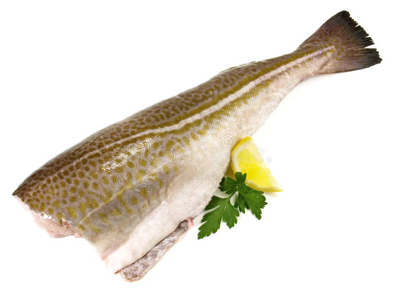 Seafood - Cod Fish Isolated on White Background Stock Photo - Image of ...