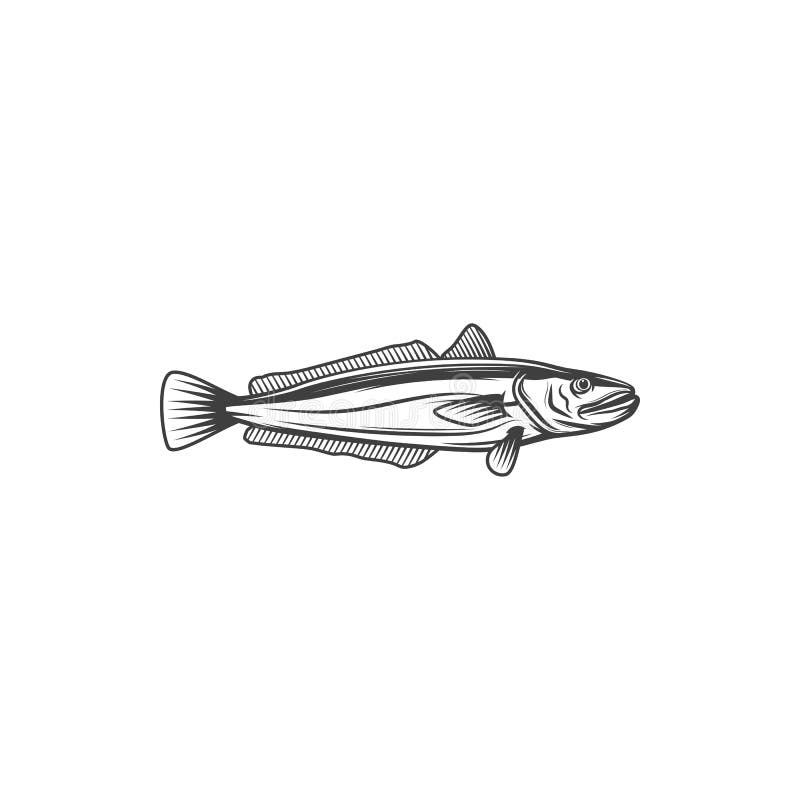 Fresh Cod Fish Stock Illustrations – 893 Fresh Cod Fish Stock ...