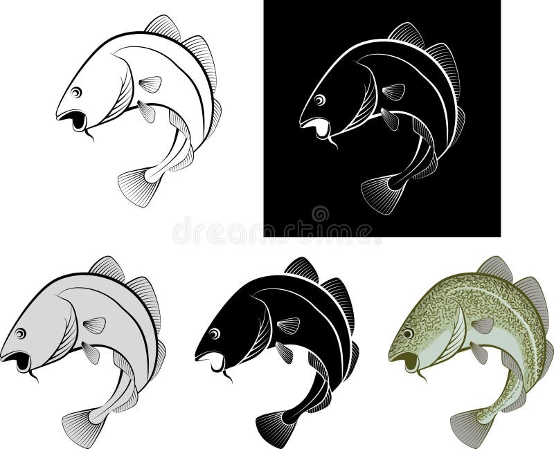 Atlantic Cod Drawing Stock Illustrations – 148 Atlantic Cod Drawing ...