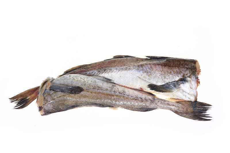 Cod Isolated on a White Background Stock Image - Image of gastronomy ...