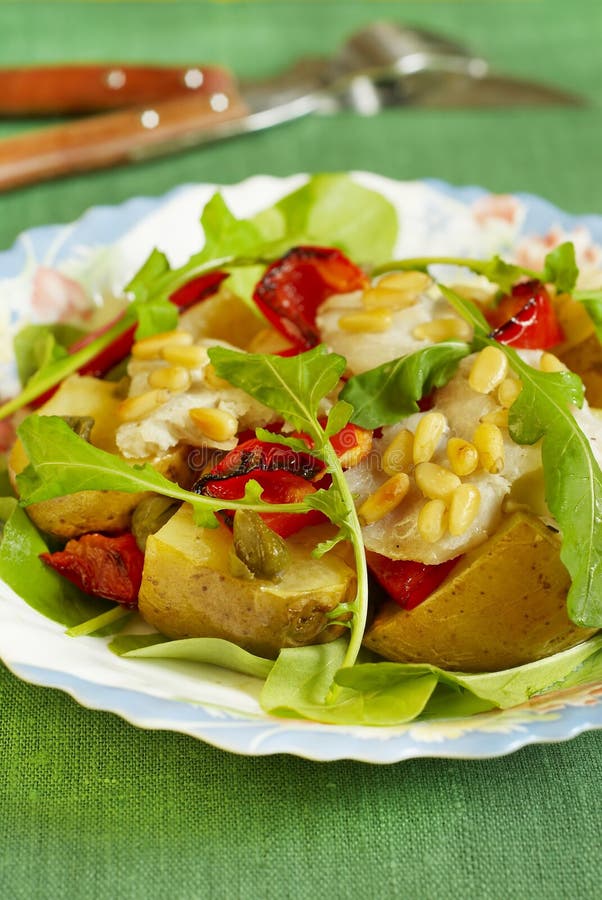 Cod salad stock photo. Image of freshness, cuisine, gourmet - 14637036