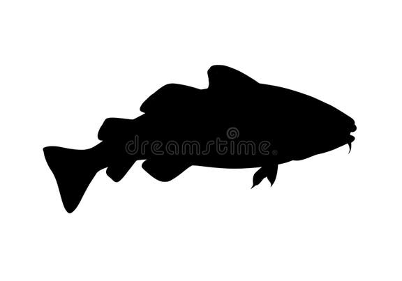 Cod silhouette stock vector. Illustration of tail, species - 375523351