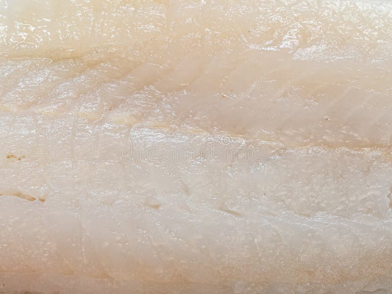 Cod texture stock image. Image of filet, background - 246024703