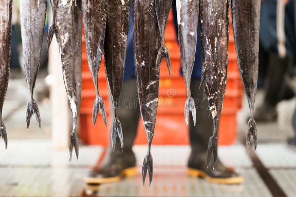 Code del pesce immagine stock. Immagine di mercato, grezzo - 36596115