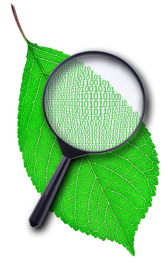 Coded green leaf stock illustration. Illustration of herb - 21381091