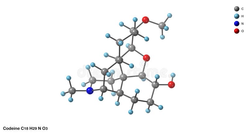 Codeine C18H29NO3 Molecular Structure Diagram Stock Illustration ...