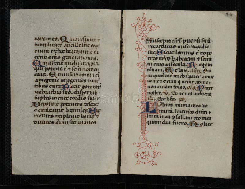 Codex Pollick (Book Of Hours) Picture. Image: 221415379