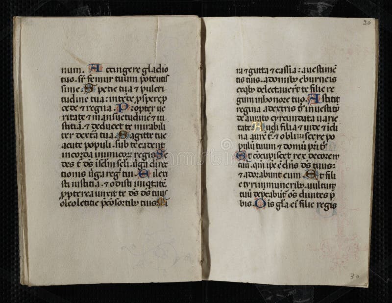 Codex Pollick (Book Of Hours) Picture. Image: 221415381