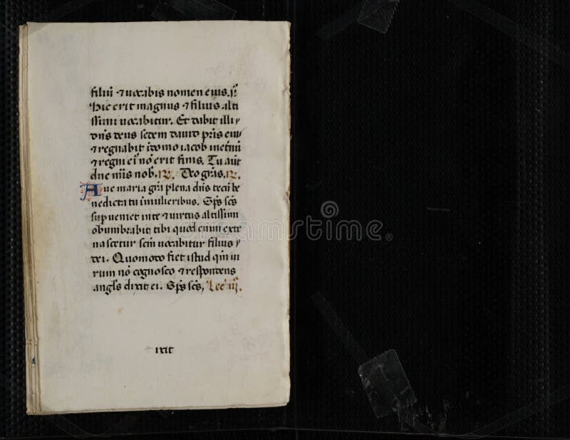 Codex Pollick (Book Of Hours) Picture. Image: 221415465