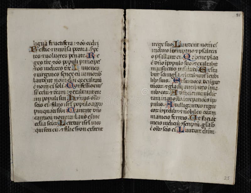 Codex Pollick (Book Of Hours) Picture. Image: 221415798