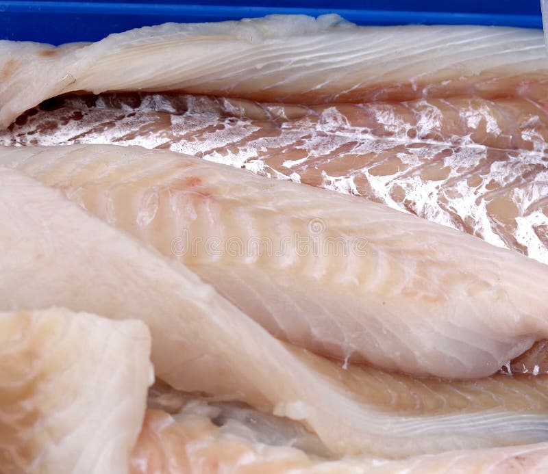 Codfish Filets on at Fish Market Stock Image - Image of health, food ...