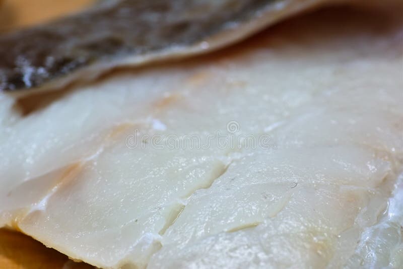 Codfish. stock photo. Image of poland, salt, codfish - 37773020