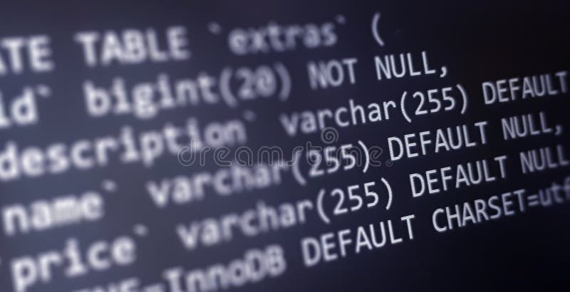 Coding Concept Software Development Monitor Technology Display Application Source Code