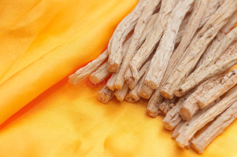 Codonopsis pilosula stock photo. Image of dangshen, precious - 12748530