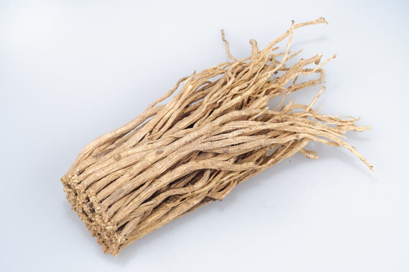 Codonopsis Pilosula (Franch.) Nannf Stock Photo - Image of root ...