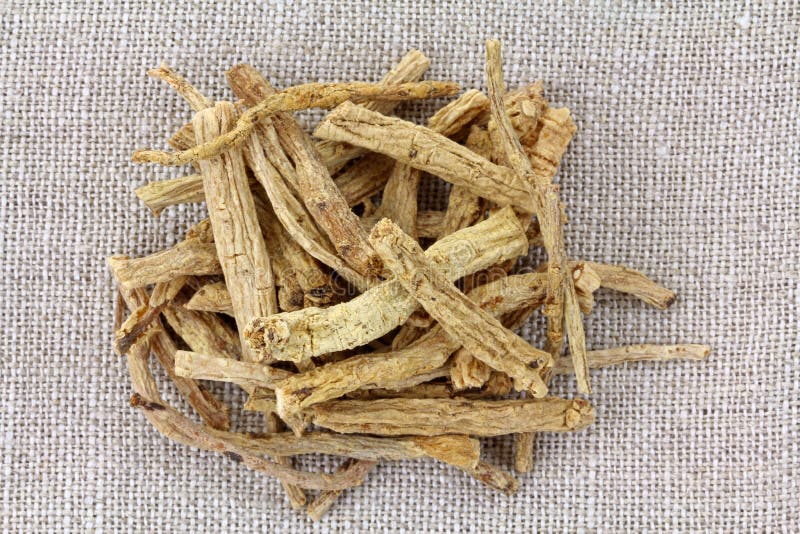 Dang Shen Codonopsis Pilosula Stock Photos - Free & Royalty-Free Stock ...